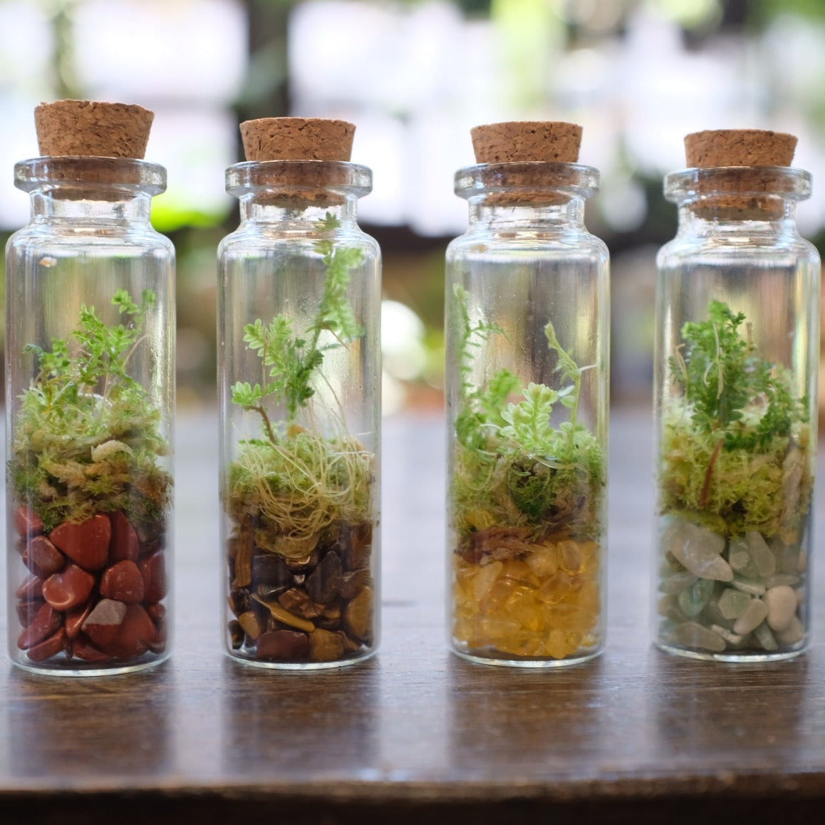 ReRoot Gardens – rerootgardens