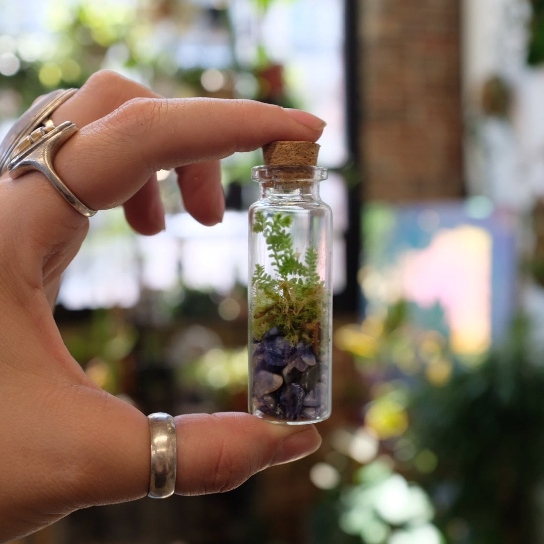 ReRoot Gardens – rerootgardens