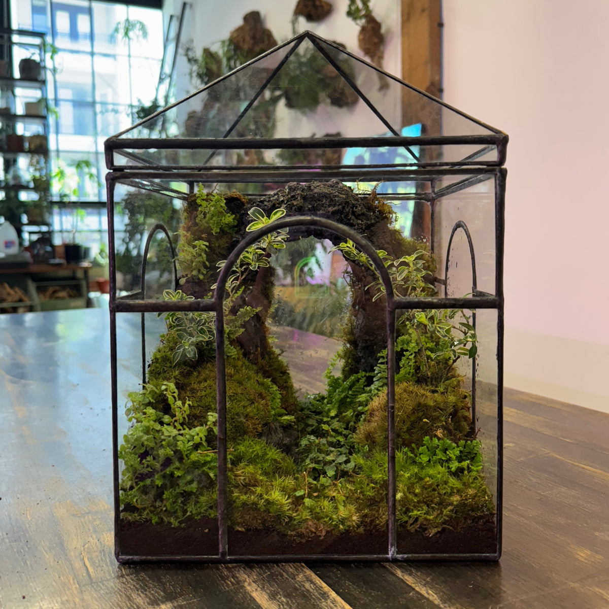 SEPTEMBER - CUSTOM TERRARIUM PROJECT #1 – rerootgardens