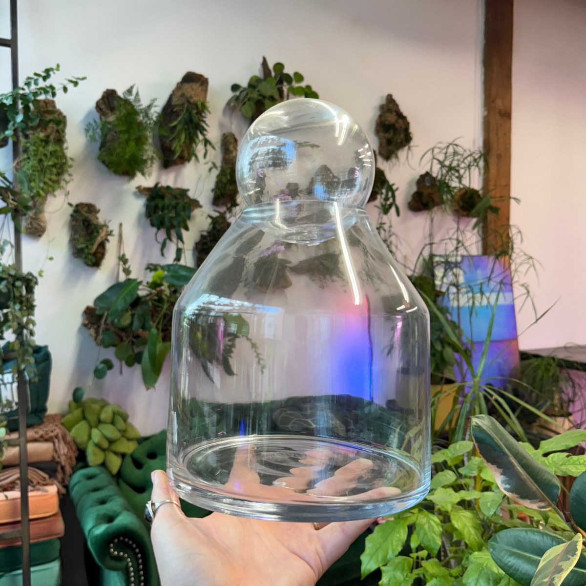 Glass Sphere Top Terrarium – rerootgardens