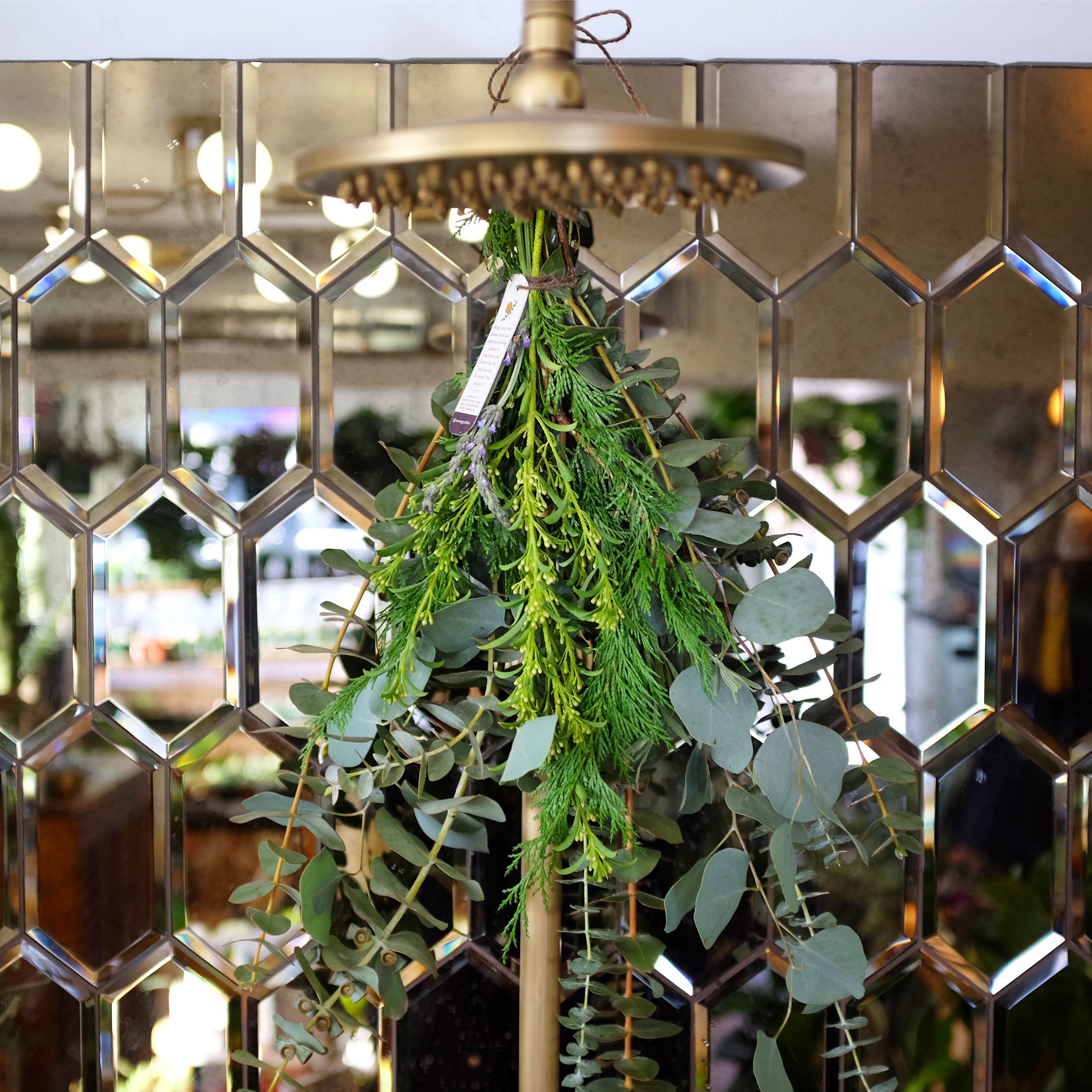 ReRoot Gardens – rerootgardens